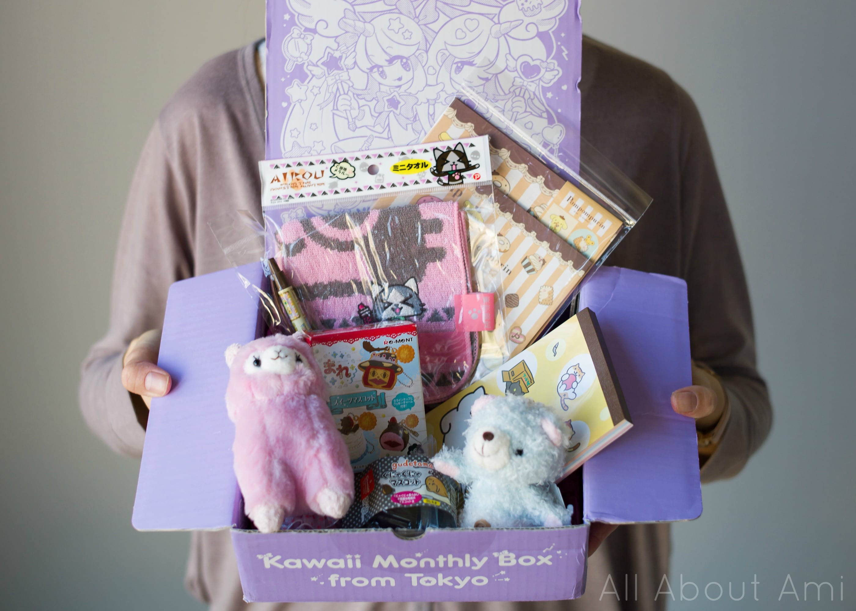 YumeTwins Kawaii Box Review - All About Ami