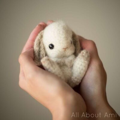 Chinese New Year Rabbit - All About Ami